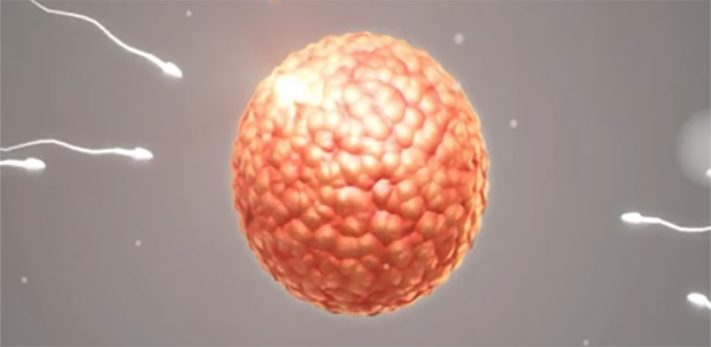 Jugar a 9 Months gratis en la PC, así es como funciona!